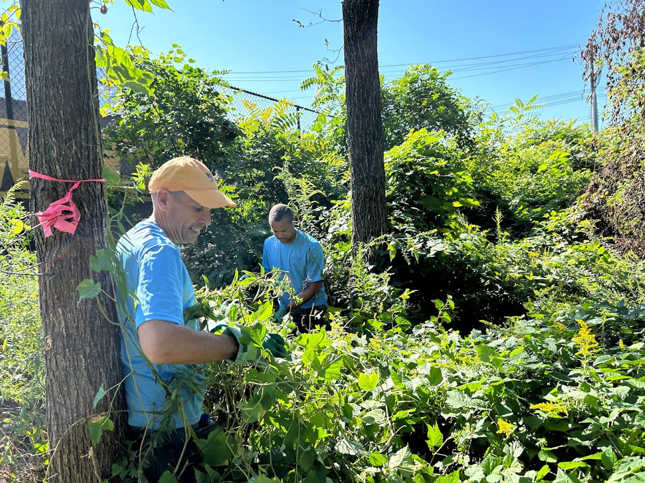 Adelaide Bentley Park Makeover! – NeighborSpace of Baltimore County