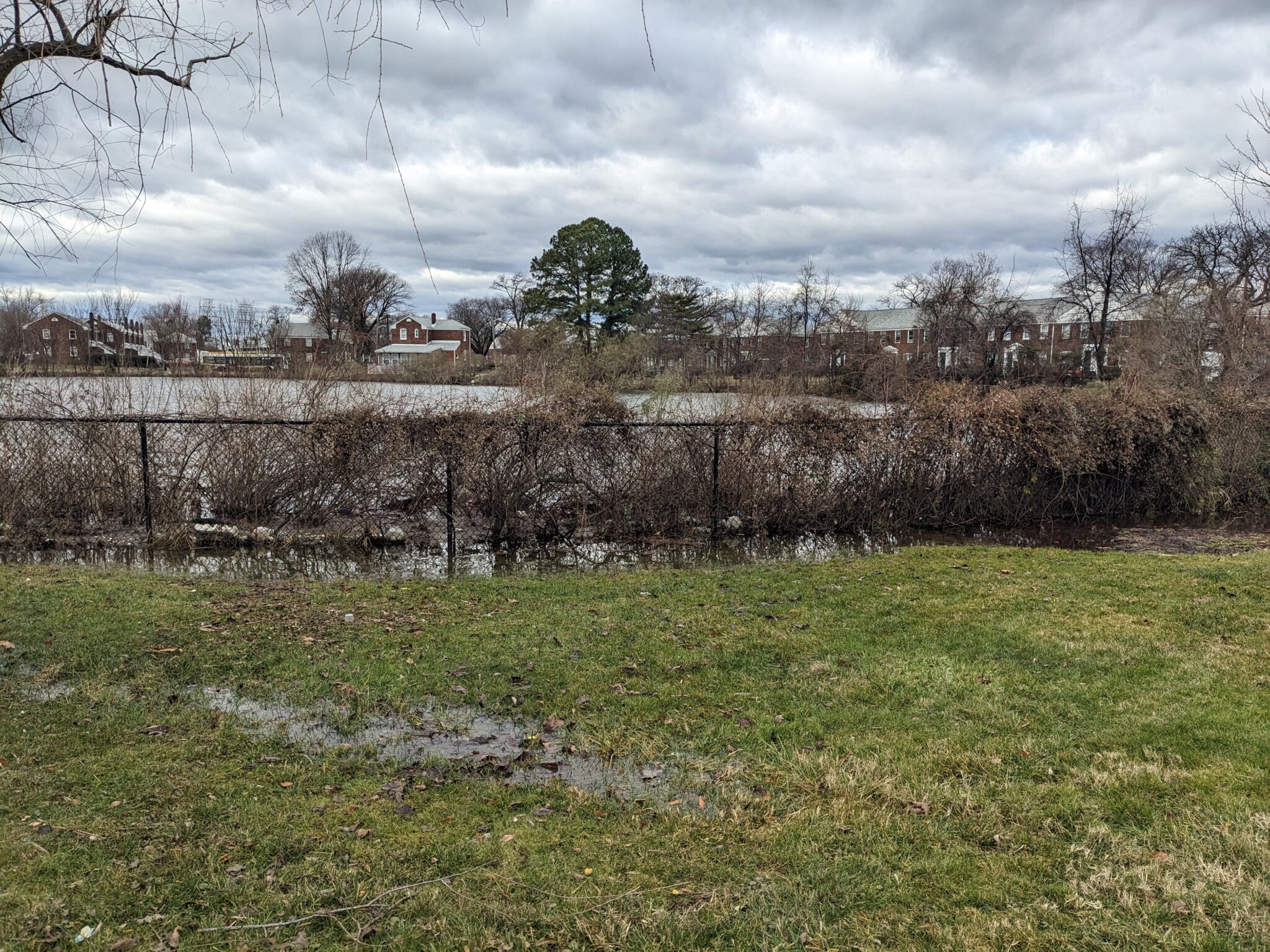 Community Climate Resilience in Turner Station Project Update ...
