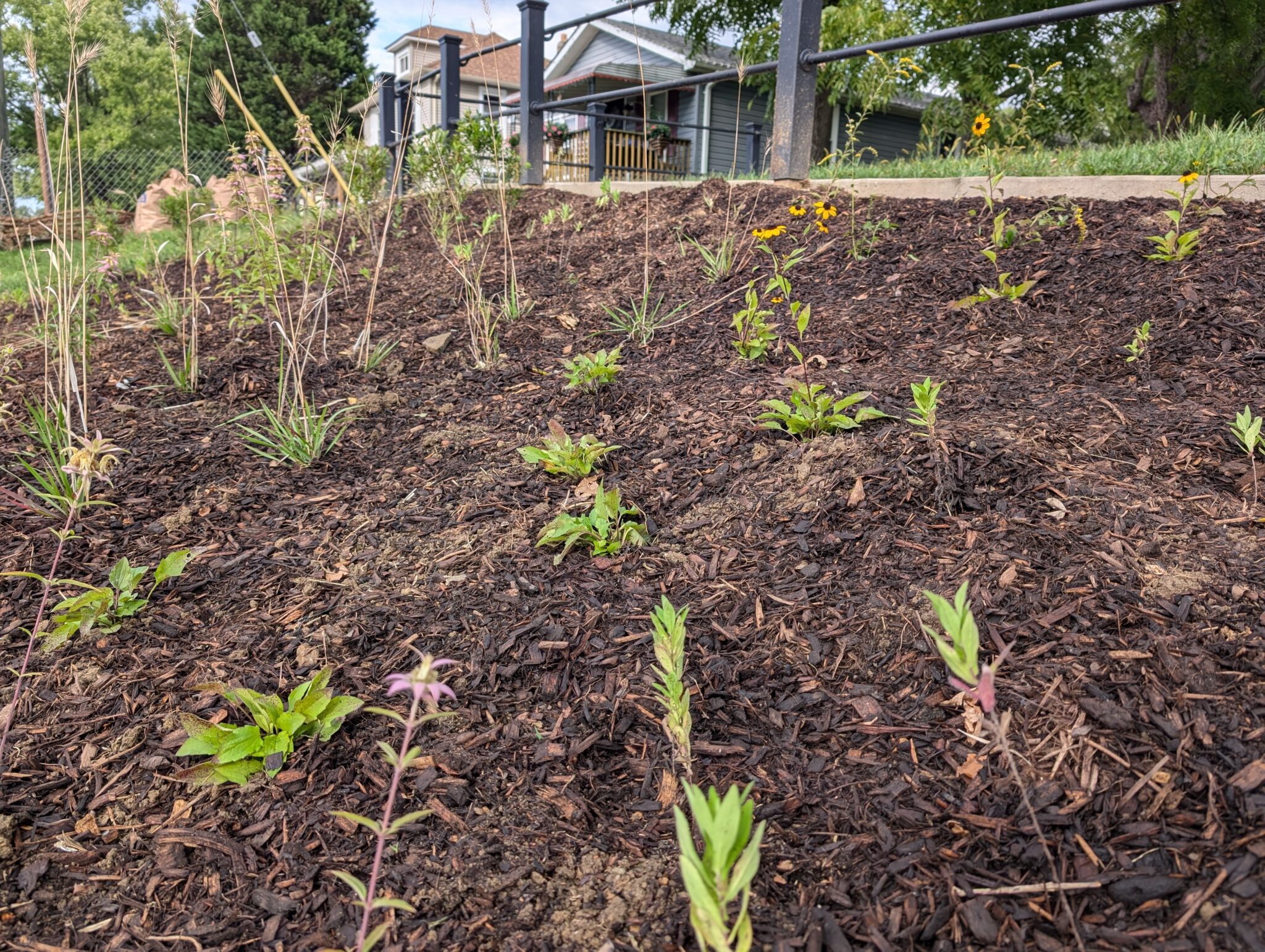 About – NeighborSpace of Baltimore County